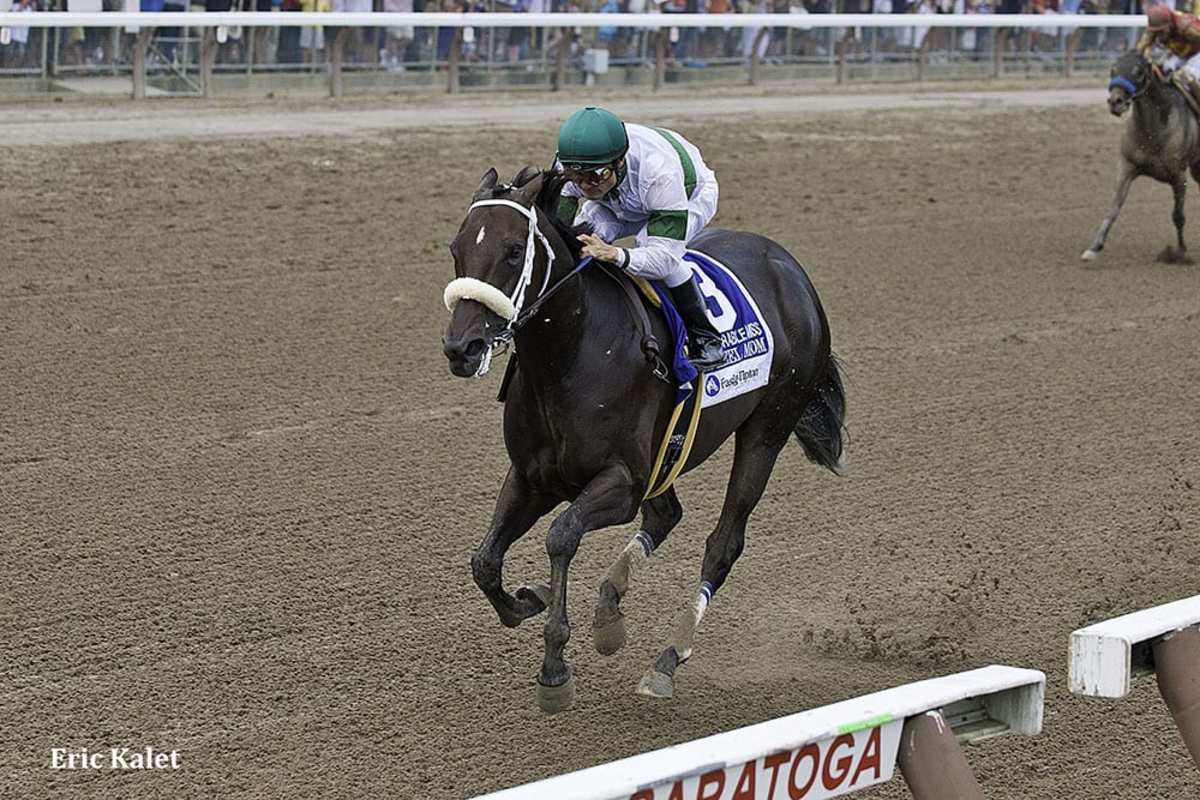 Tar Heel Mom, Pomeroy's Pistol face off in Gallant Bloom - Paulick ...