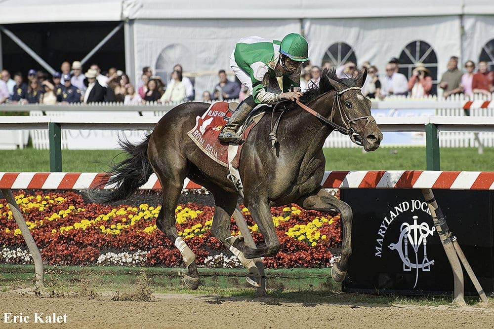 Royal Delta, Balck-Eyed Susan winner, will miss Mother Goose at Belmont ...