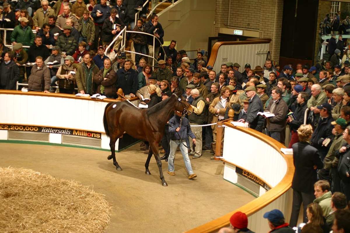 Study: Do Early-Season Foals Make More Money At The Races? - Paulick ...