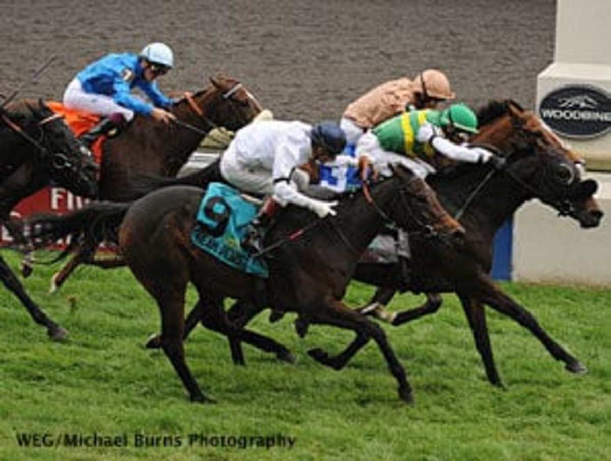 Miss Keller wins E.P. Taylor in a heart-stopper - Paulick Report ...