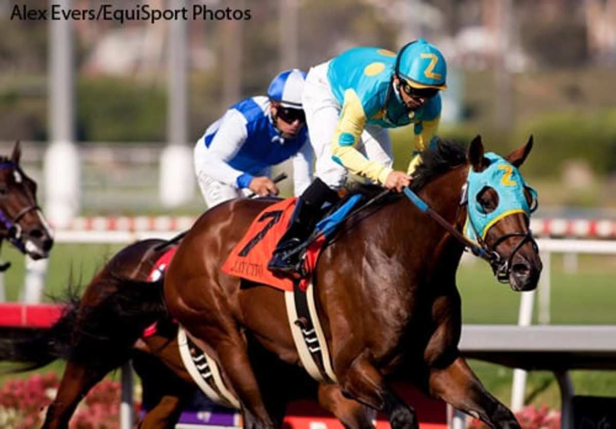 PDI #7 Jaycito a no-go for Derby - Paulick Report | Latest news and ...