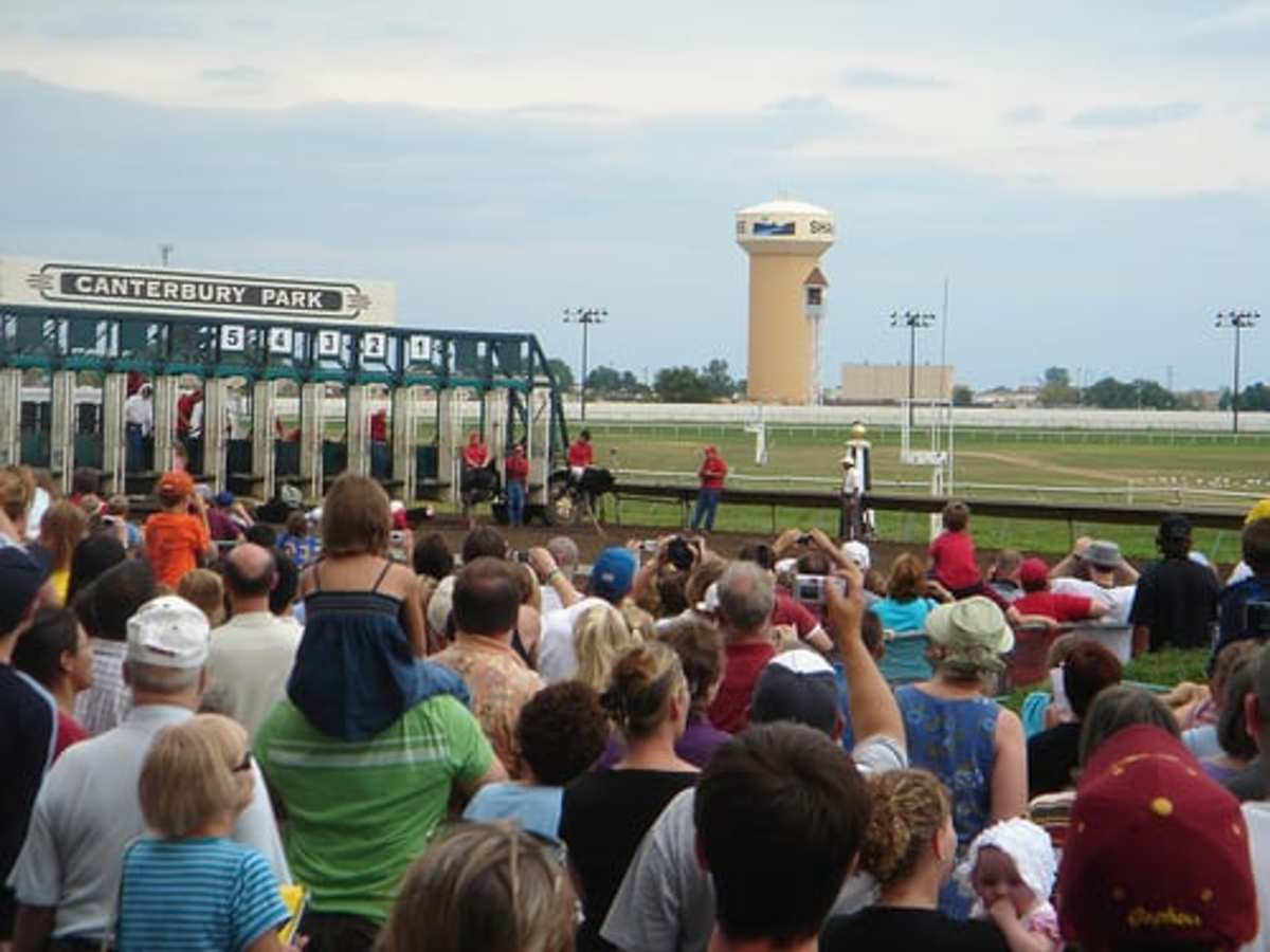 Minnesota Racing Names Its 2013 Champions - Paulick Report | Latest ...