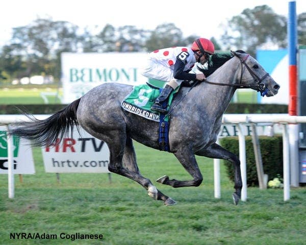 Unbridled Humor unleashes a winning punch in Noble Damsel - Paulick ...
