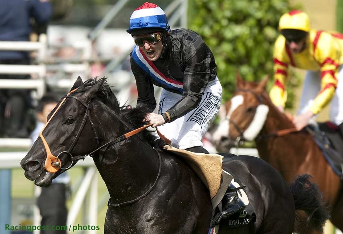 Society Rock "rocks" in Golden Jubilee - Paulick Report | Latest news ...