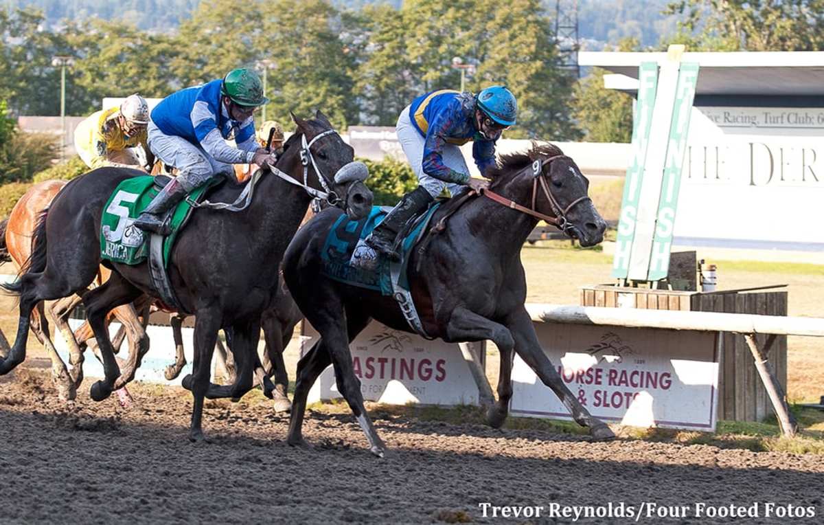 Northern Causeway hangs on in BC Derby - Paulick Report | Latest news ...