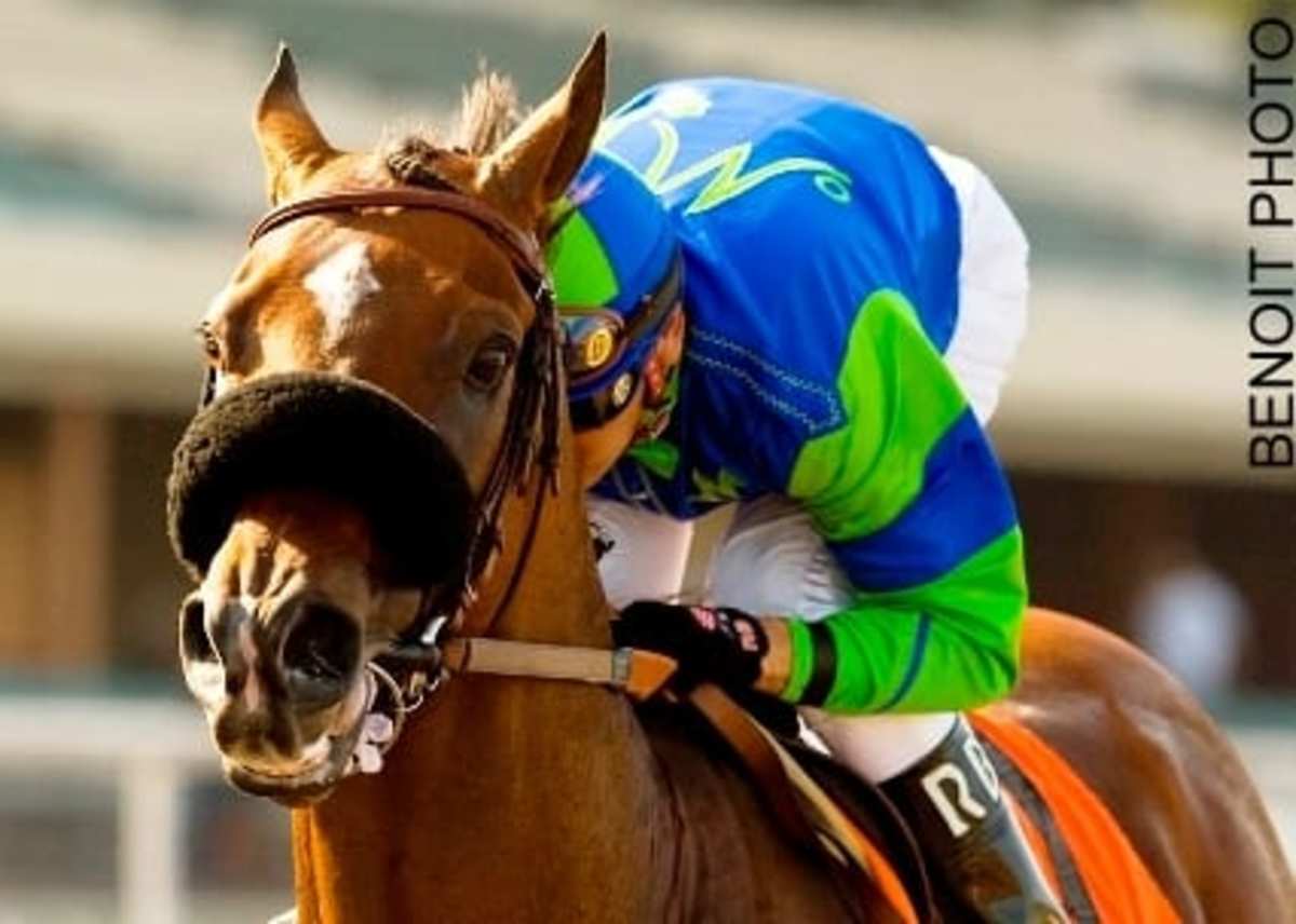 Rail Trip returns to California trainer Ron Ellis - Paulick Report ...