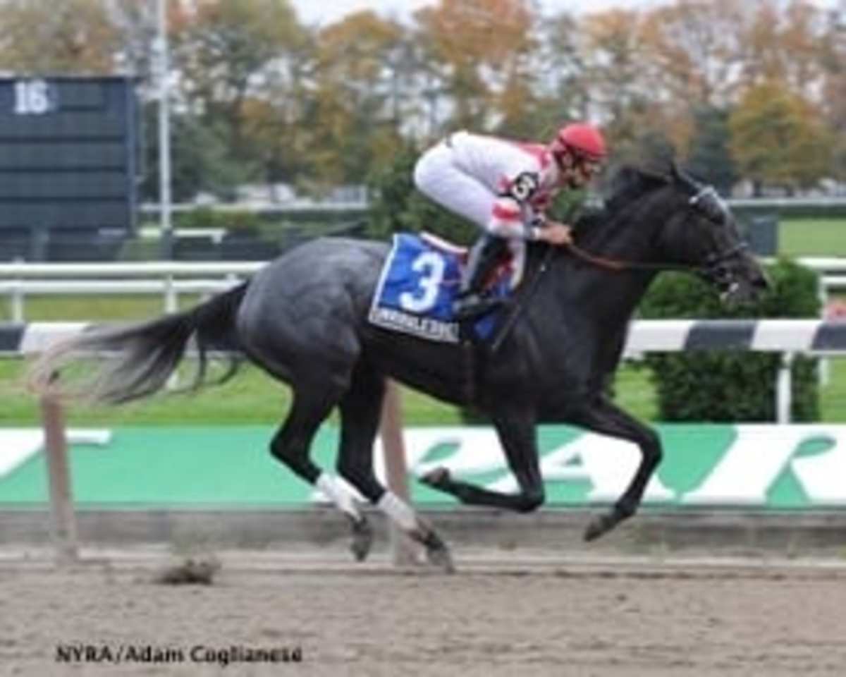 Unrivaled Belle injured, retired - Paulick Report | Latest news and ...