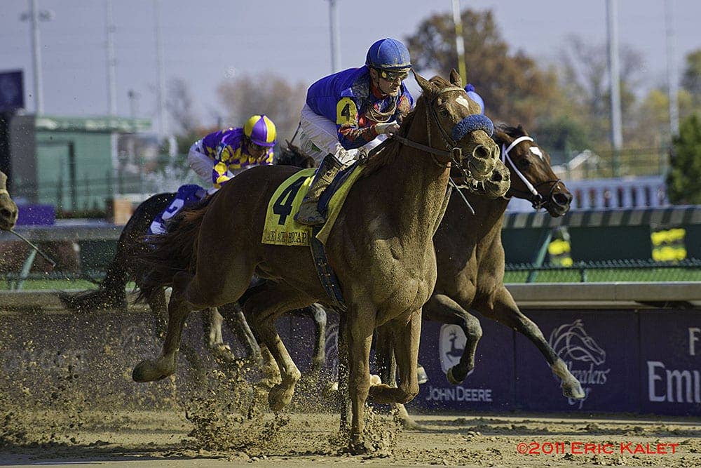 Millionaire Mister Marti Gras Retired From Racing - Paulick Report ...