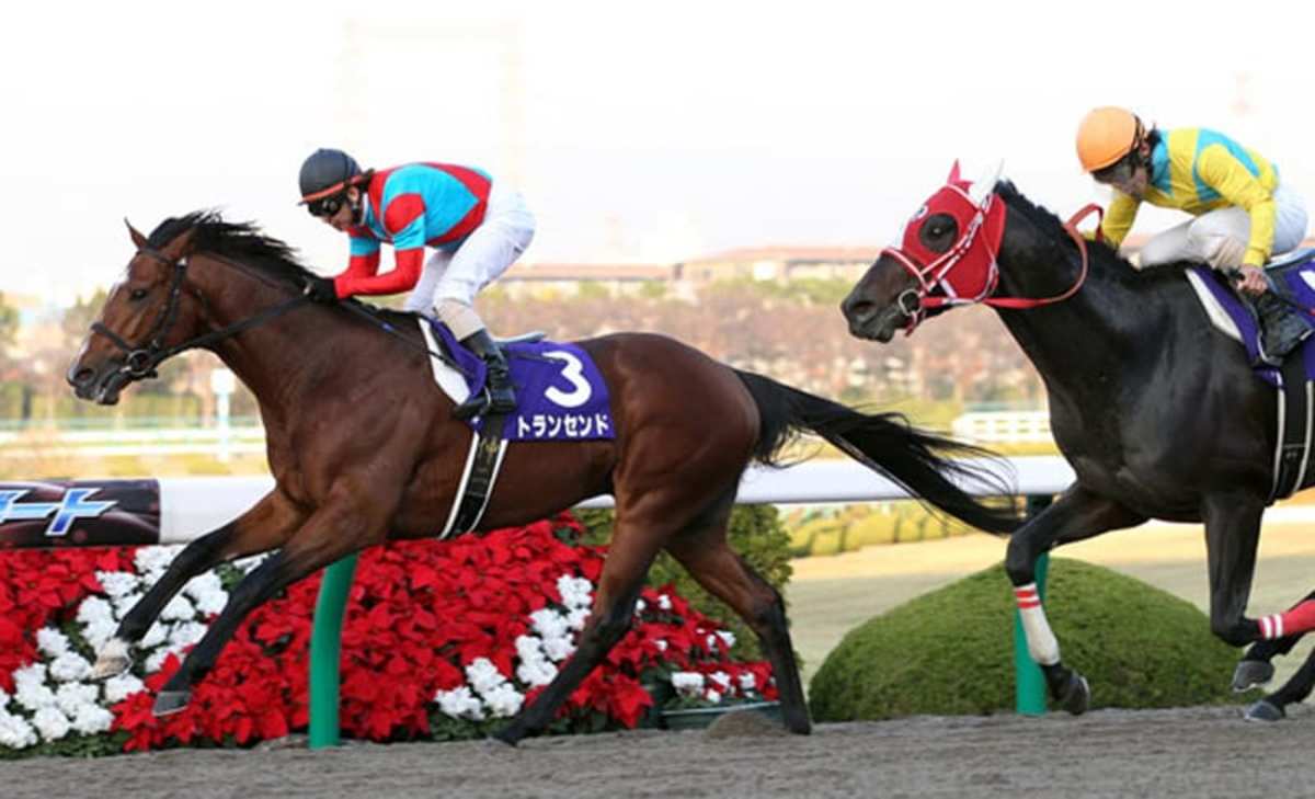 TVG Expands Coverage of Japan Racing - Paulick Report | Latest news and ...
