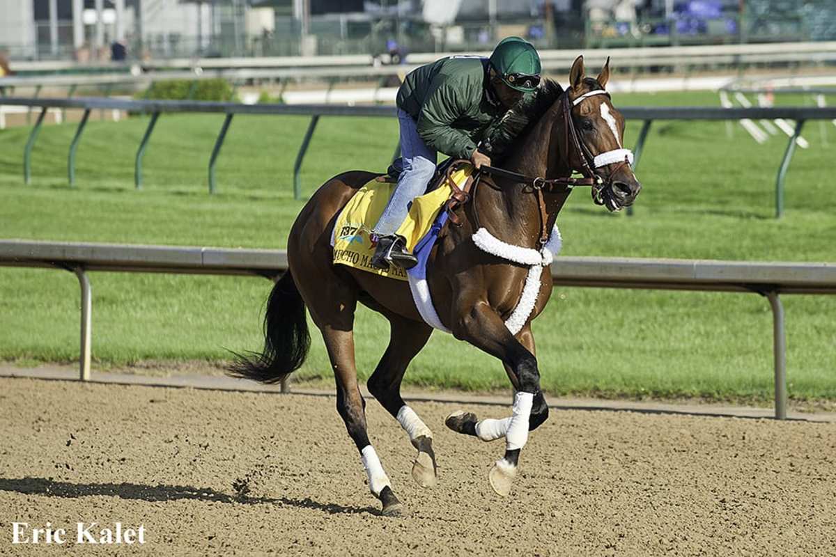 BC Classic: Mucho Macho Man Turns in First Work Since Awesome Again ...