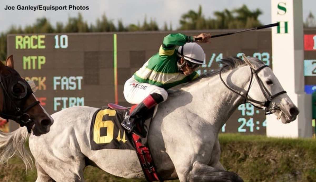 Musketier to stand at Adena Springs Canada - Paulick Report | Latest ...