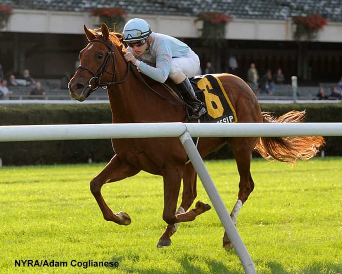 Pure Gossip shocks with Miss Grillo win - Paulick Report | Latest news ...