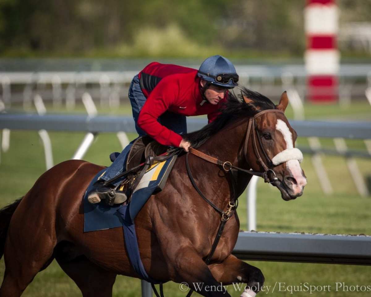 Kentucky Derby 138 Barn Notes: Thursday, April 26 - Paulick Report ...