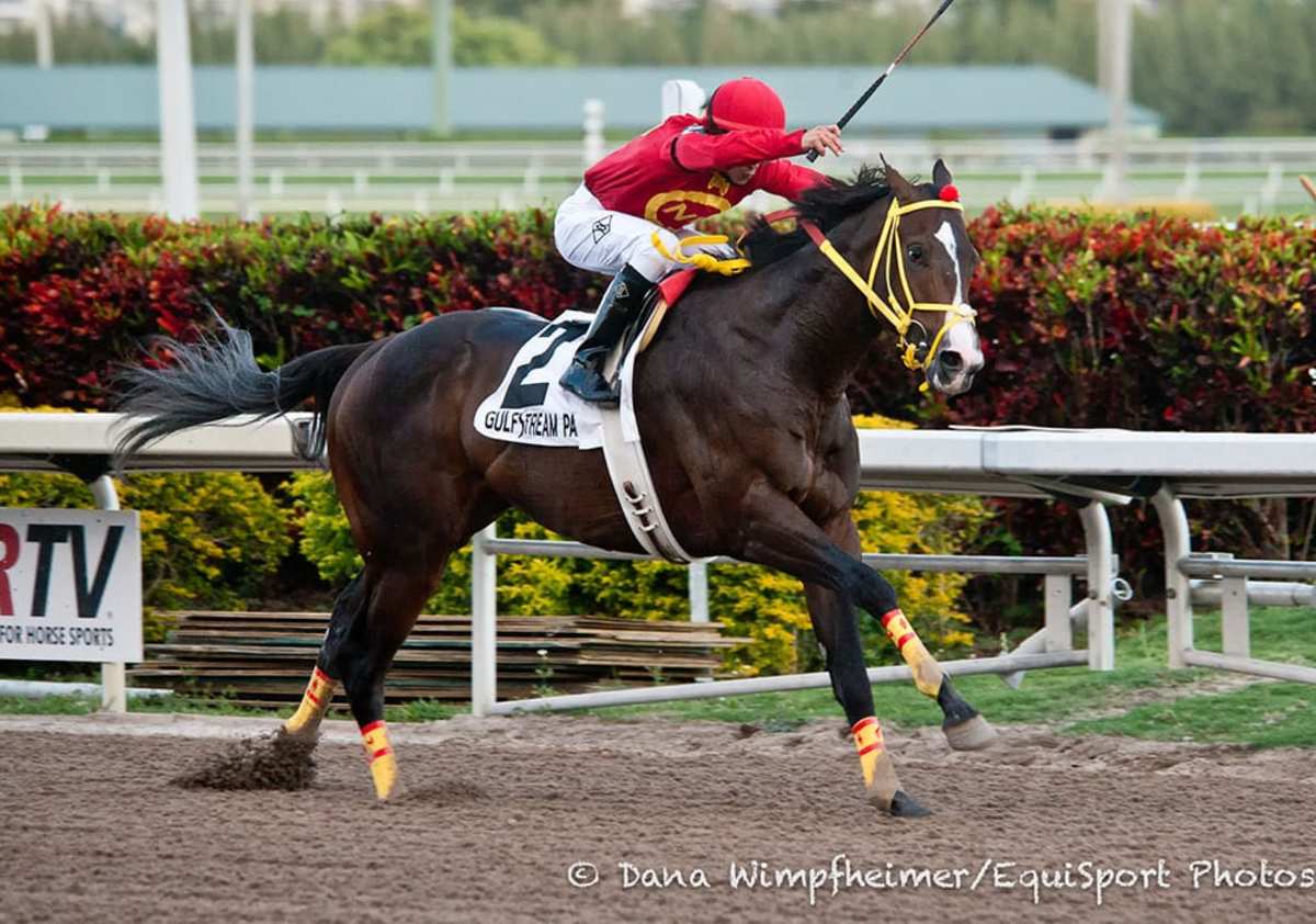 Shivananda Parbhoo poised to sweep Belmont undercard sprints - Paulick ...