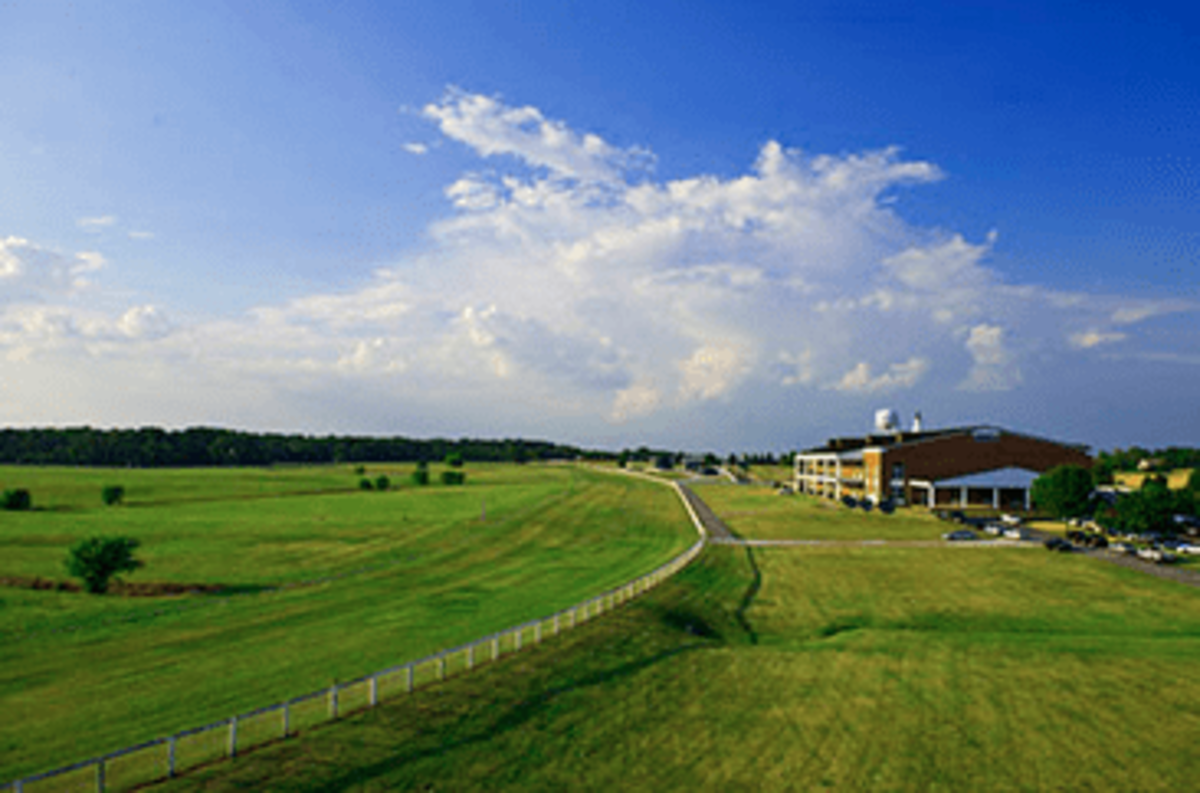 Numbers Bloom, Handicapping Angles Emerge After Kentucky Downs Opener ...