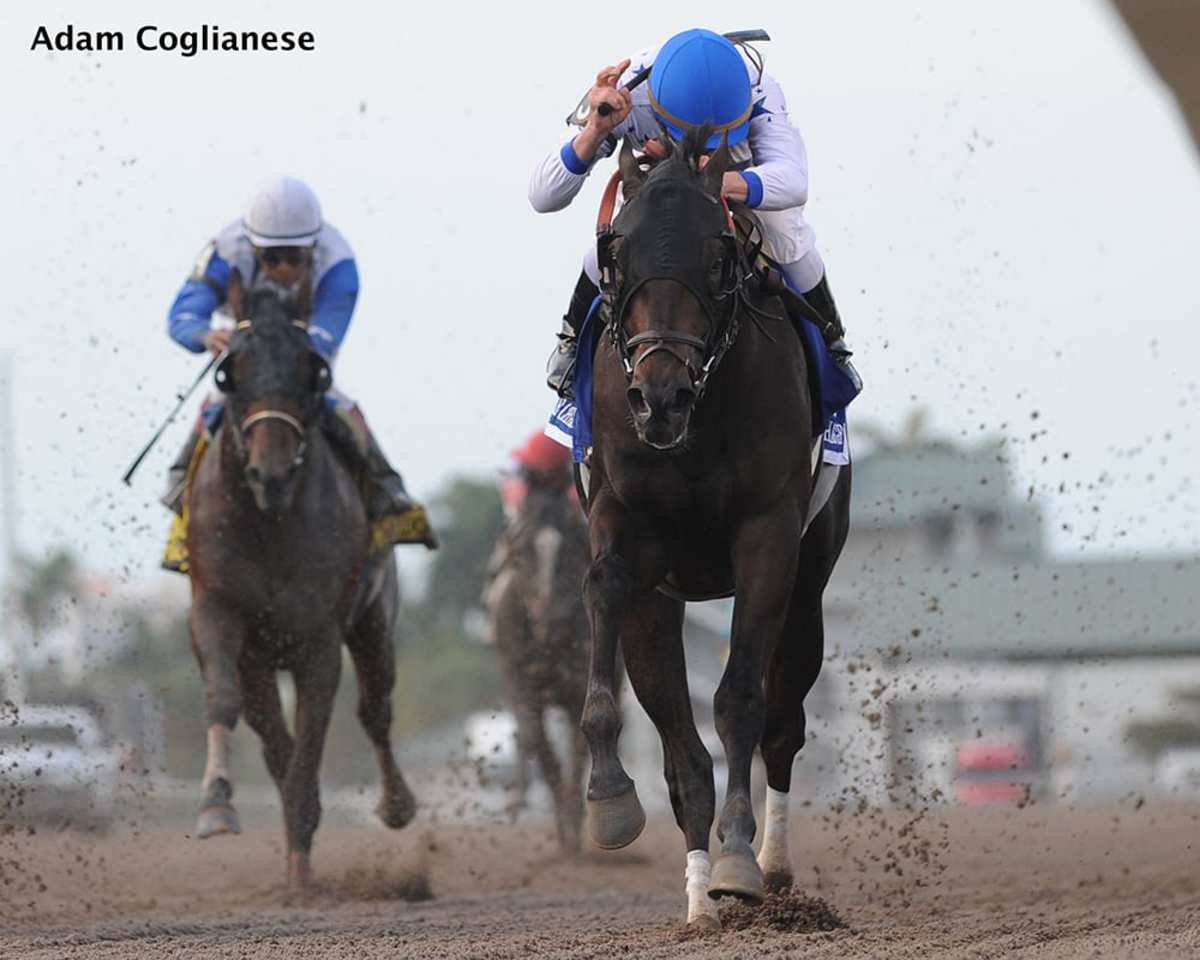 Take Charge Indy Works Toward Skip Away Start - Paulick Report | Latest ...