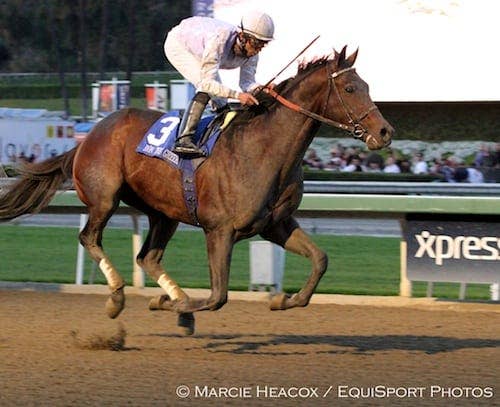Mott wins first Big Cap with Ron the Greek - Paulick Report | Latest ...