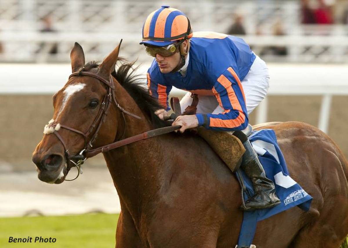 Qaraaba surges to G3 Robert J. Frankel win - Paulick Report | Latest ...