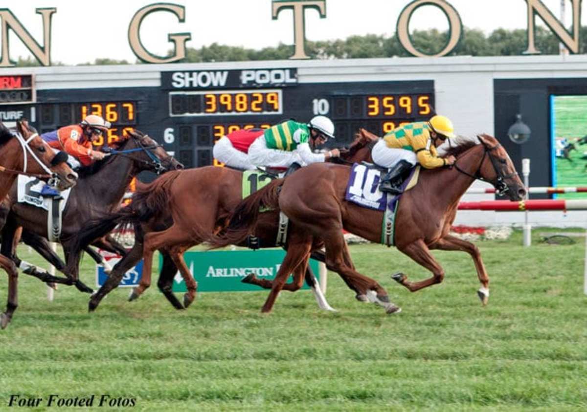 Leading Astray Retired, Bred to Kitten’s Joy - Paulick Report | Latest ...