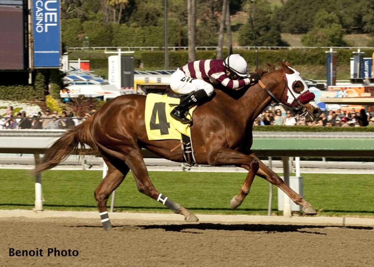 Willa B Awesome headlines Saturday's Hollywood Oaks - Paulick Report ...