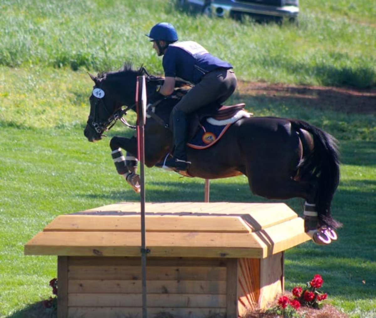 OTTB Showcase: 2012 Rolex Kentucky Three-Day Event OTTBs - Paulick ...