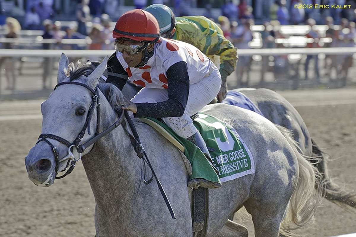 Zo Impressive game winner of Mother Goose - Paulick Report | Latest ...