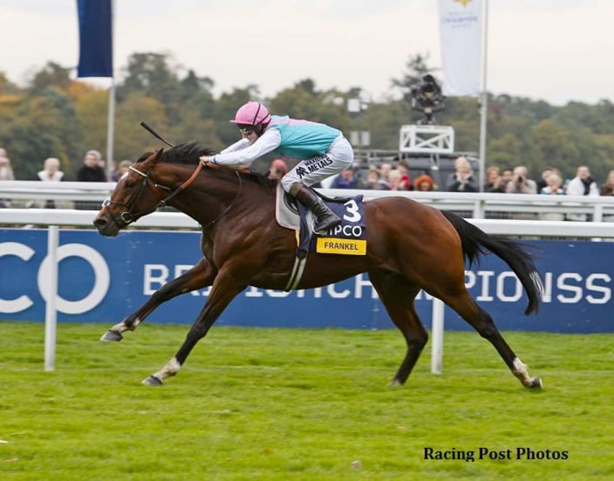 Bloodlines Presented By Walmac Farm: What Does Pedigree Really Get You ...