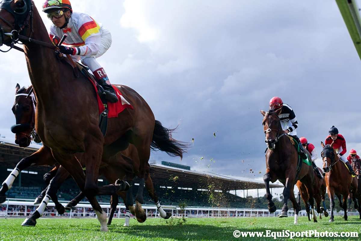 Santa Anita Opening Day Launches New Era in California Racing - Paulick ...