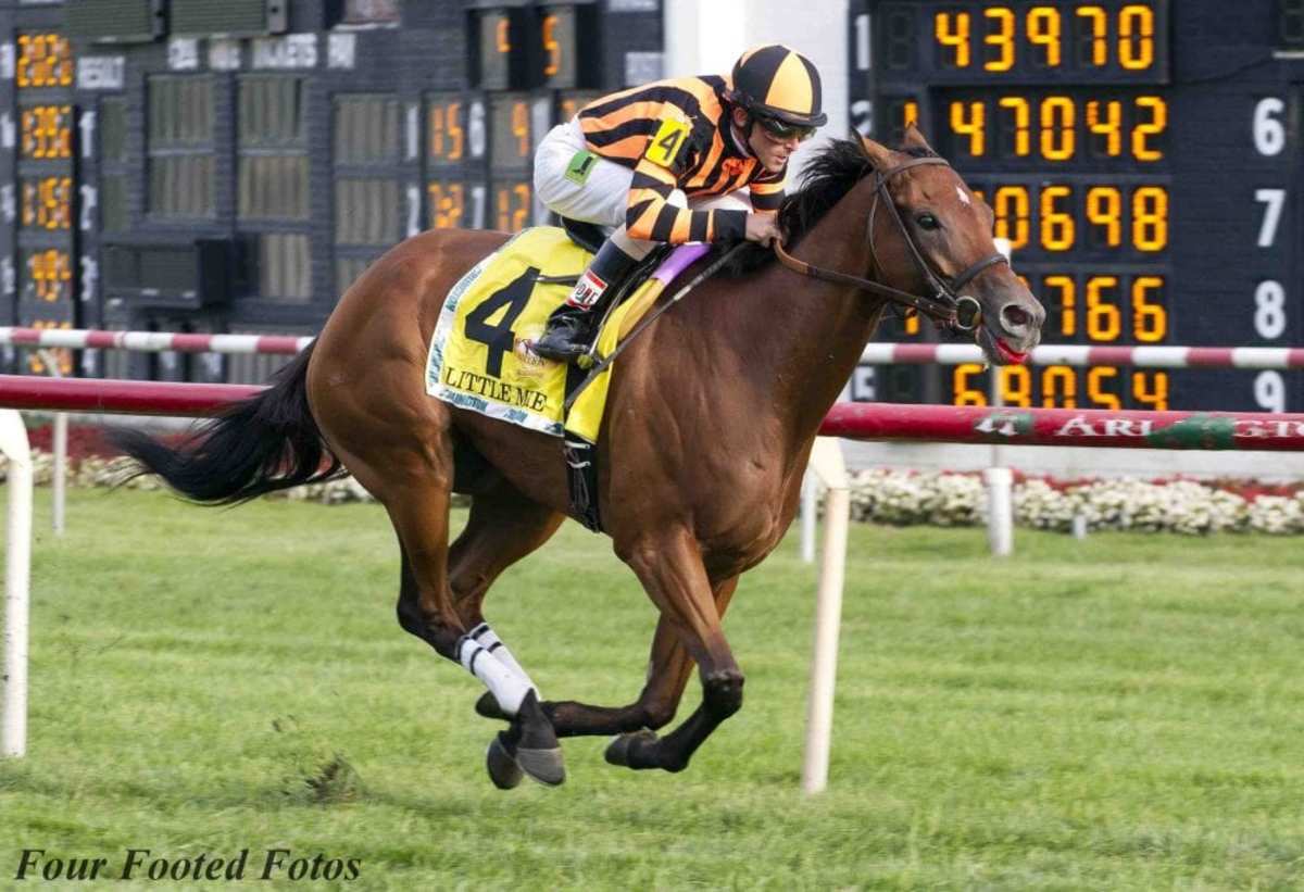 Little Mike Bids for Repeat in Arlington Million - Paulick Report ...
