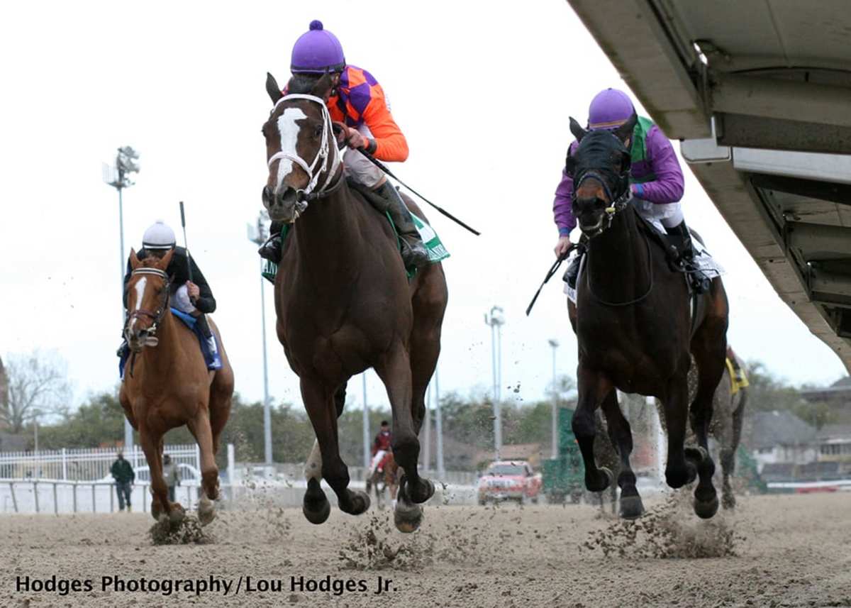 Summer Applause morning line favorite for Fair Grounds Oaks - Paulick ...