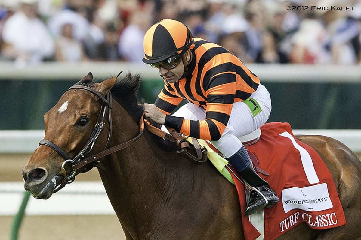 Little Mike Owner: If We Win Million, Wise Dan Match Race Next ...