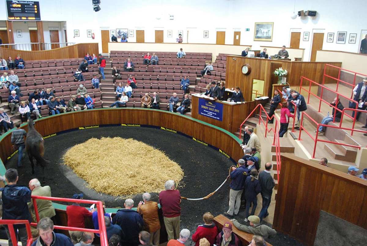 Tattersalls sale gets boost from Qatari royal family - Paulick Report ...