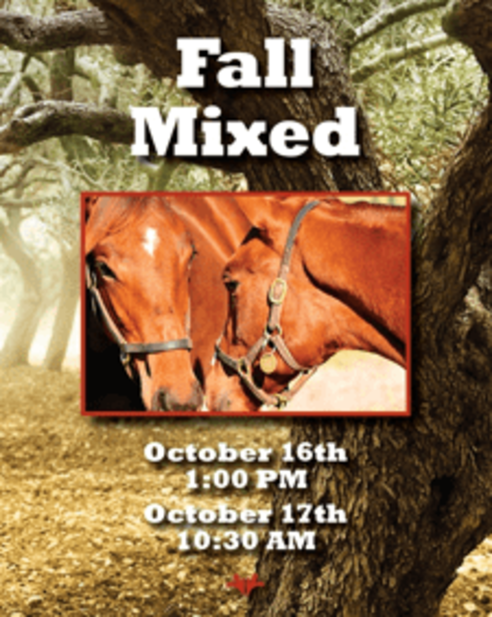 OBS Fall Mixed Sale catalog now available - Paulick Report | Latest ...