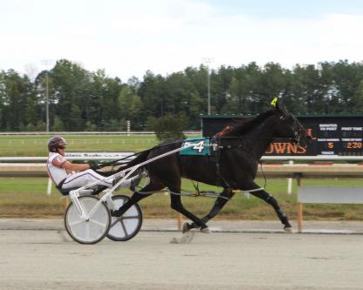 460 career starts: 'Proper nutrition' kept 'war horse' Standardbred ...