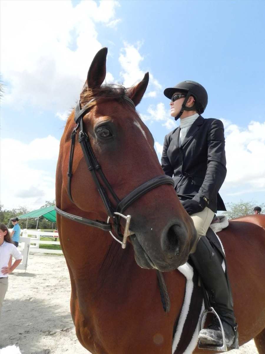 Holiday Thoroughbred Festival: Johnny Canoe ready for his close-up ...