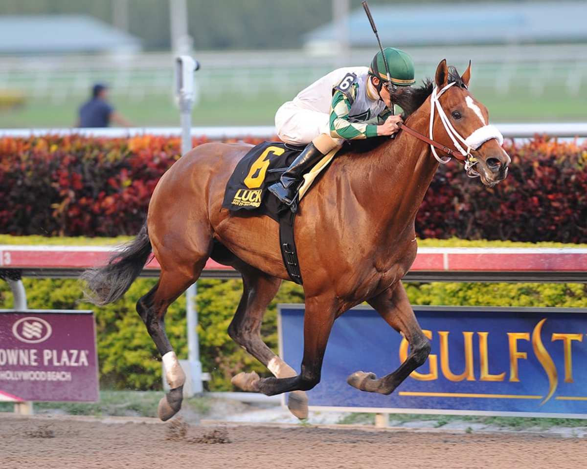 Mucho Macho Man impressive in Florida Sunshine Millions finale ...