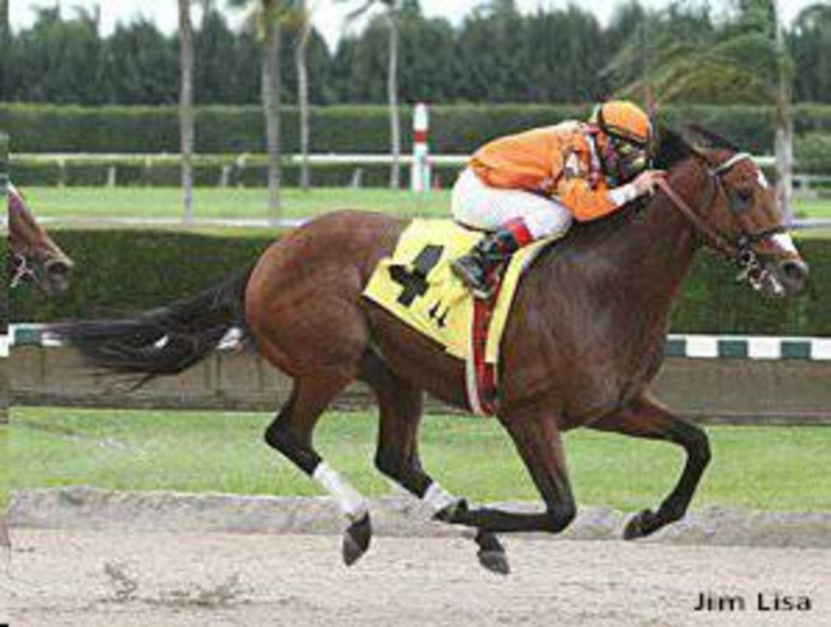 Stallion Mad Flatter Euthanized; Gr. 3 Winner Suffers Accident In Stall ...