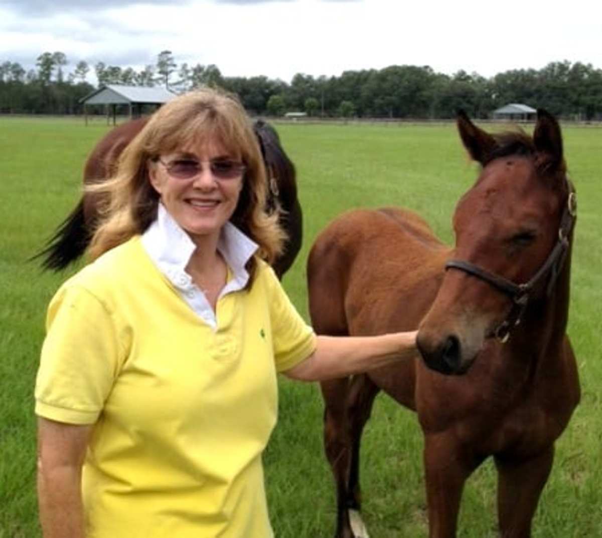 Trainer Janks: It's Fraud and It's a Felony - Paulick Report | Latest ...