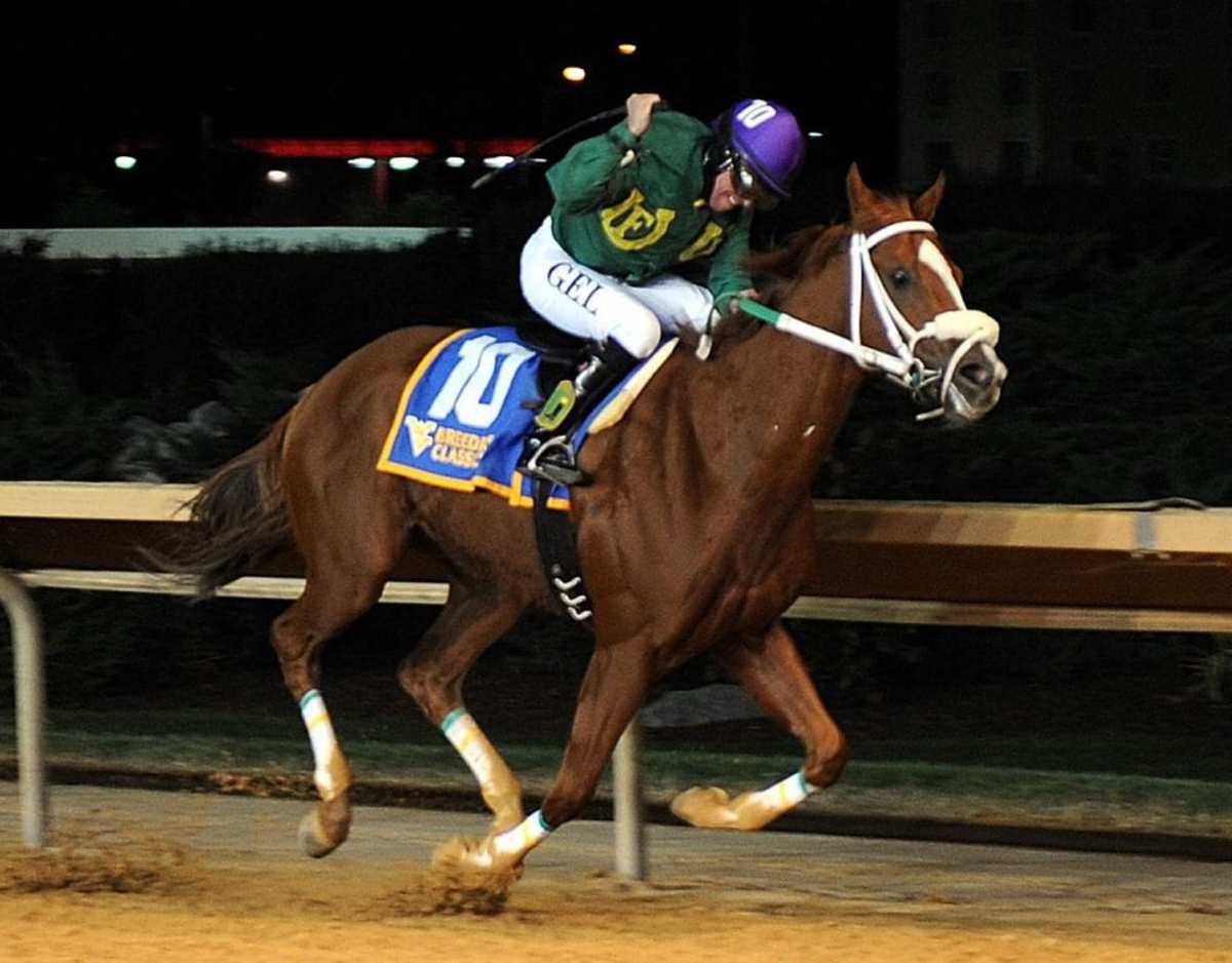 Lucy's Bob Boy Goes for Big Bucks on His Home Turf - Paulick Report ...