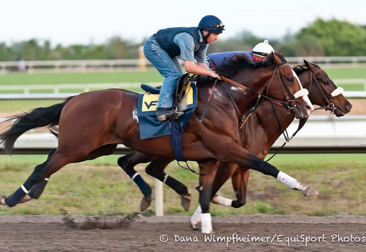 Union Rags takes a spin at Palm Meadows - Paulick Report | Latest news ...
