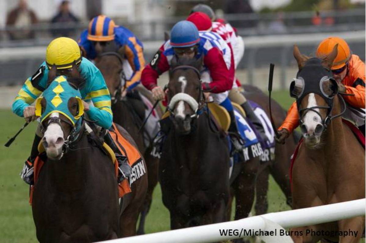 Nearctic winner Next Question heading to BC Turf Sprint - Paulick ...