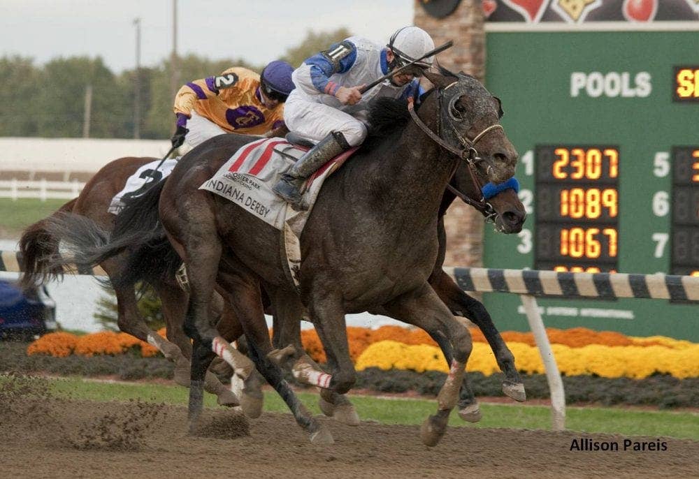 Neck 'n Neck out with sesamoid fracture - Paulick Report | Latest news ...