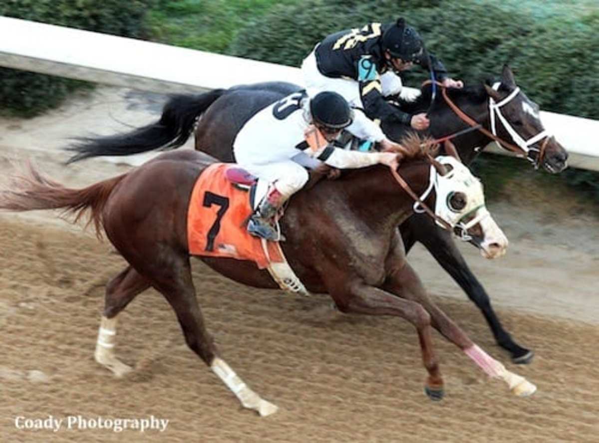 Rebel: Lukas Doubles Up With Will Take Charge, Oxbow - Paulick Report ...