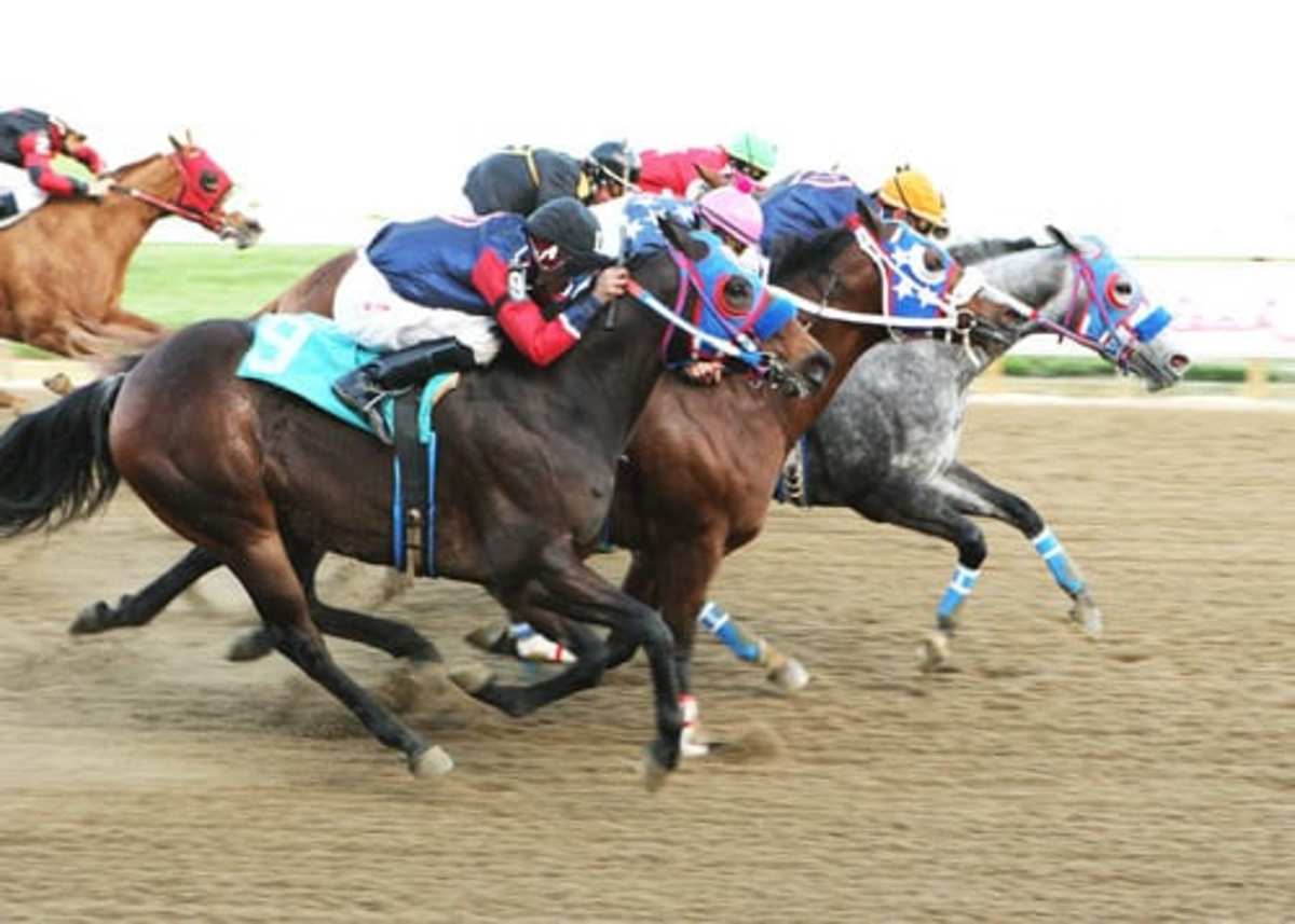 California: EIA Positive Confirmed In Bush Track Racing Quarter Horse ...