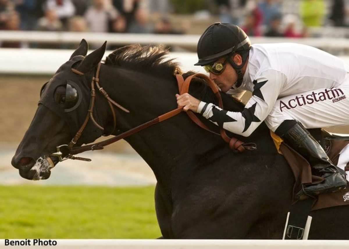 Slim Shadey Looking For Rebound in Whittingham - Paulick Report ...