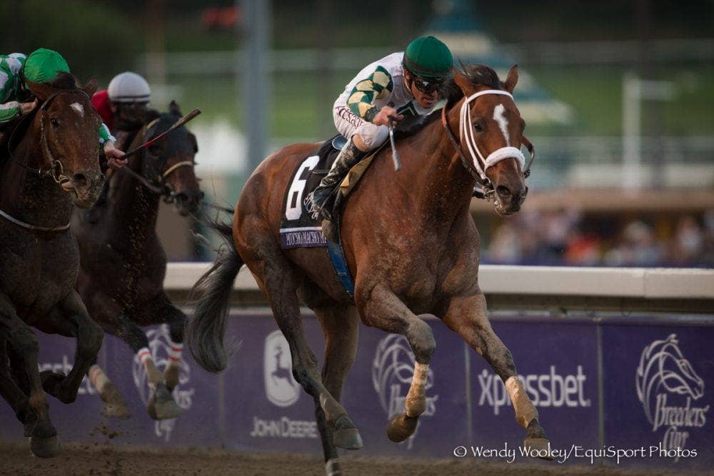 Mucho Macho Man to Remain in Training in 2014 - Paulick Report | Latest ...