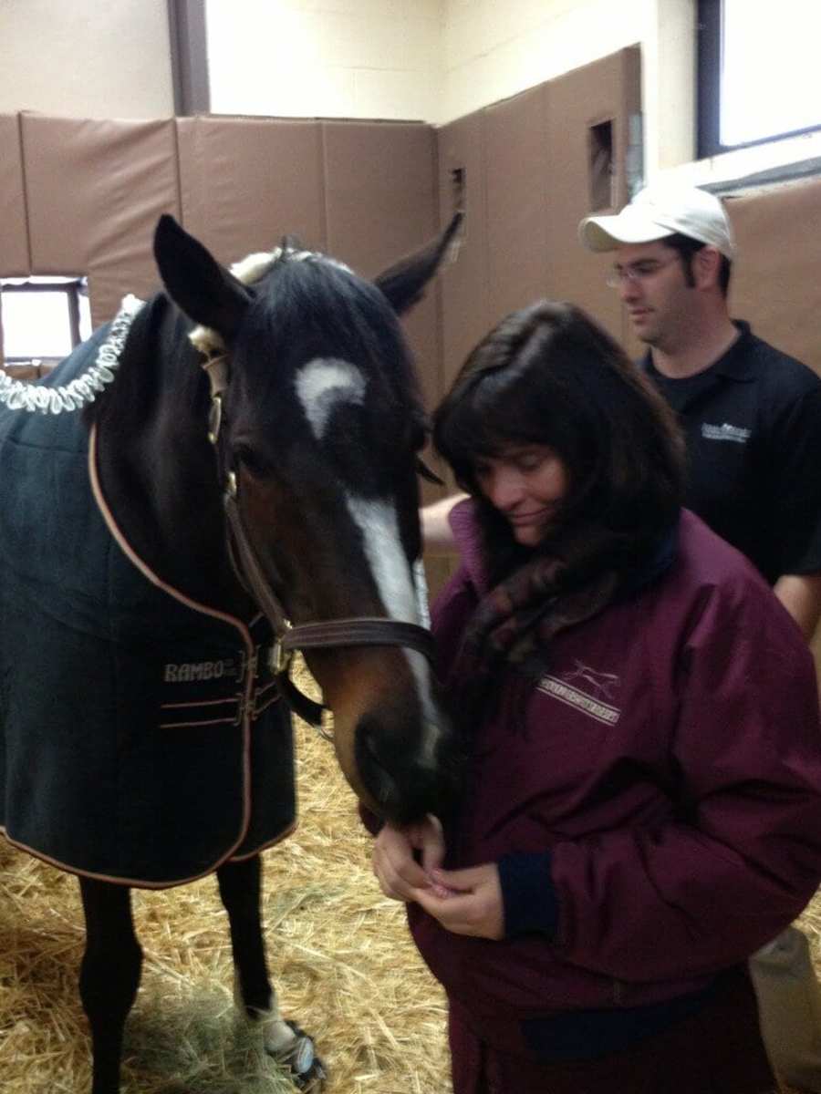 Rood and Riddle: Rachel Alexandra's 'condition remains serious ...