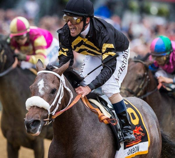 The Breeders' Cup Forum: Stevens Relishes 'Blessing' of a Year ...