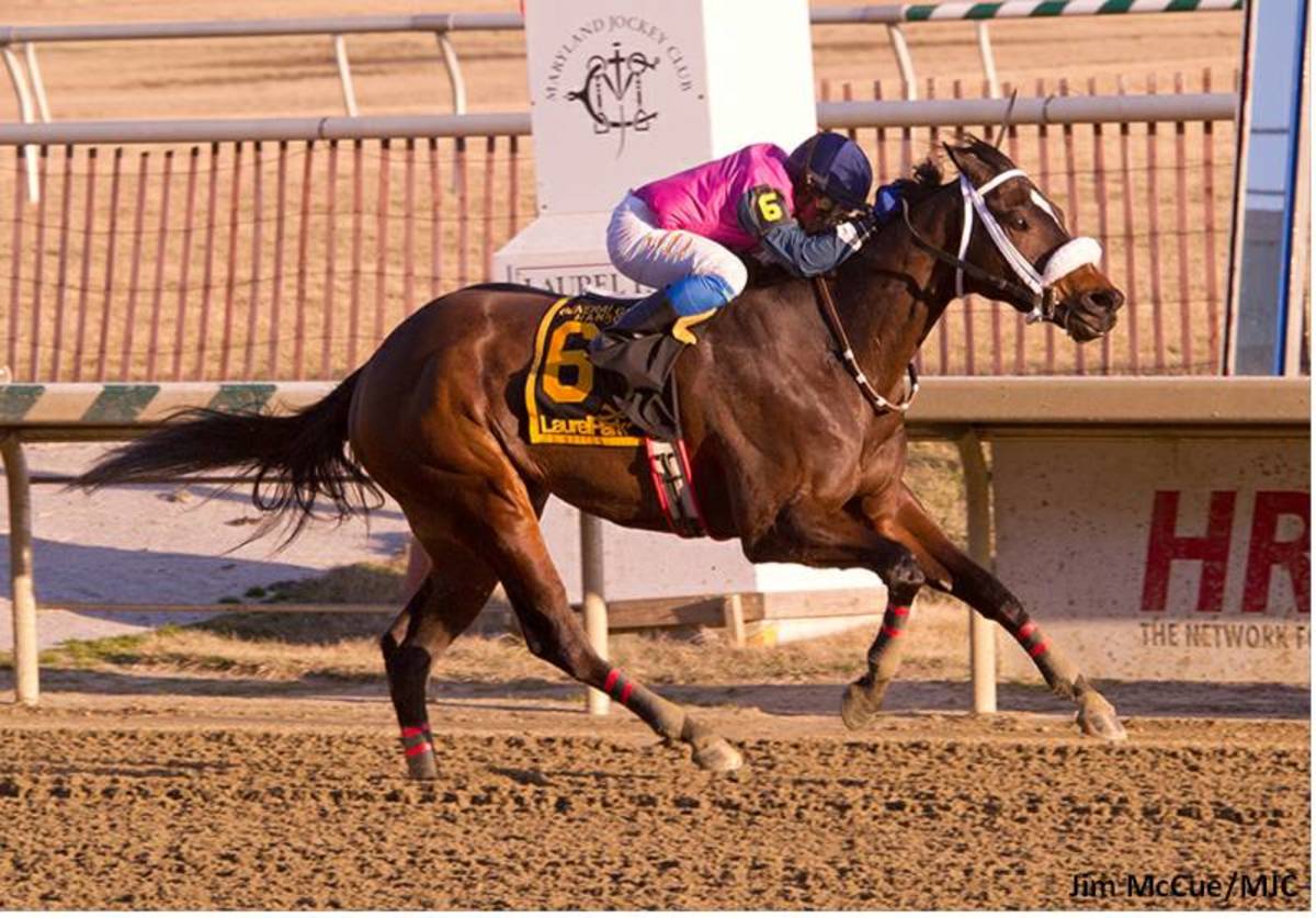 Javerre powers to victory in General George - Paulick Report | Latest ...