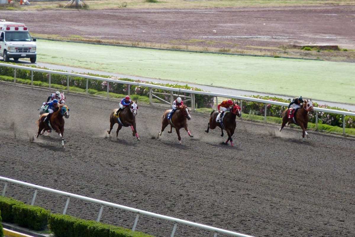 Codere Lands Deal to Simulcast Mexico City Racing on Twinspires ...